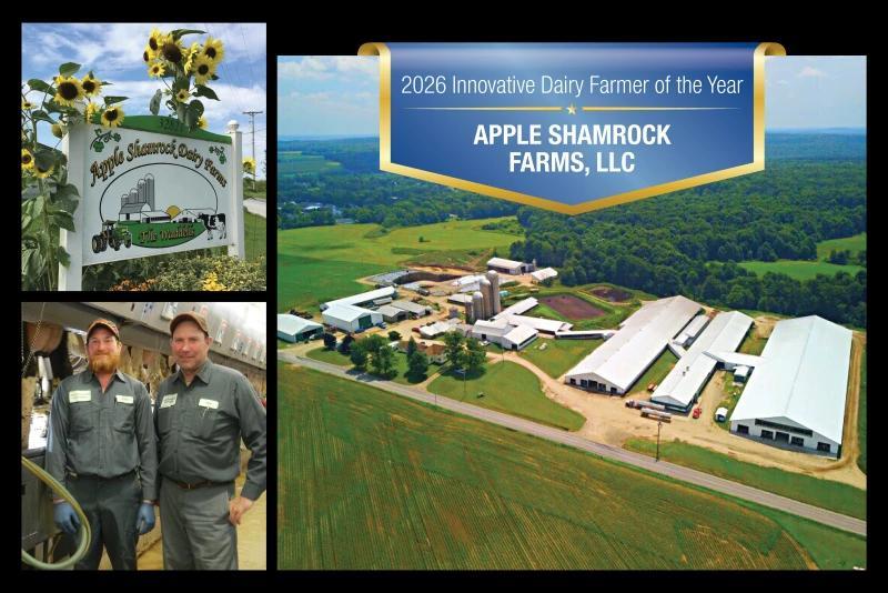 Innovation in Every Drop: Apple Shamrock Farms Crowned 2026 Innovative ...