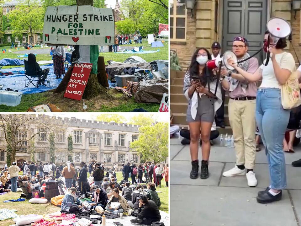 ‘Princeton Princess’ whines that she’s ‘starving,’ blames university ...