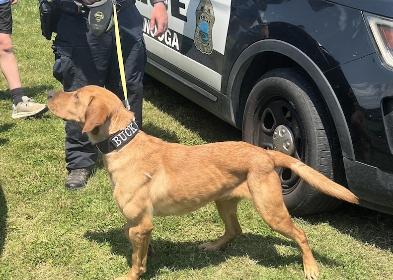 Chattanooga Police Department mourns the passing of K9 Buck - NewsBreak