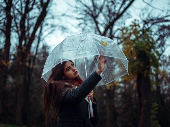 Daily Weather Forecast For Waycross