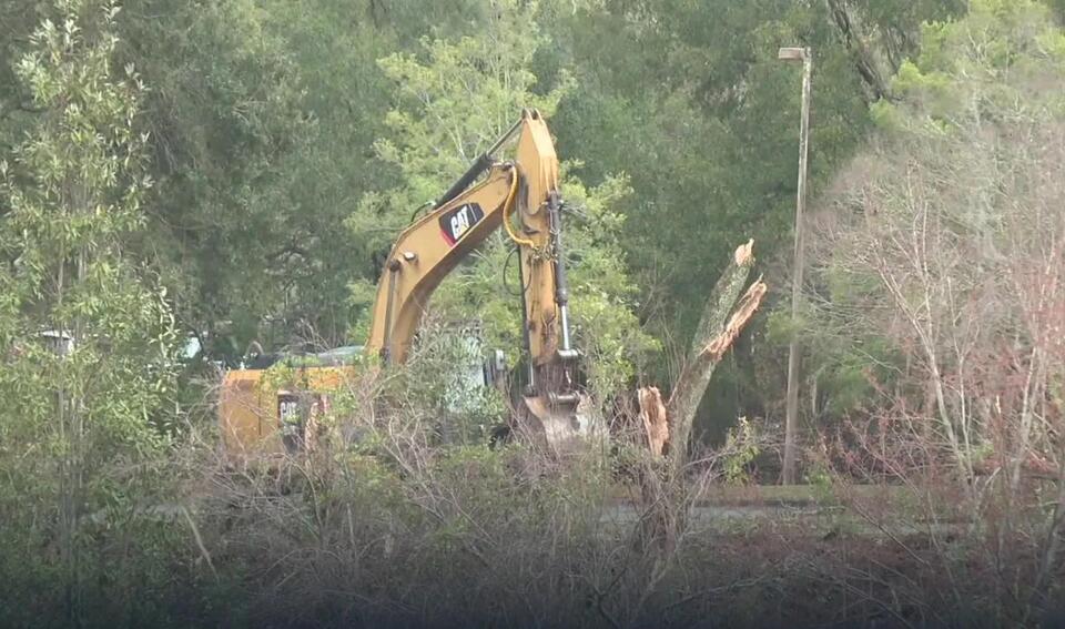 It Was Heartbreaking Neighbors Cry After Trees Around Them Are Torn