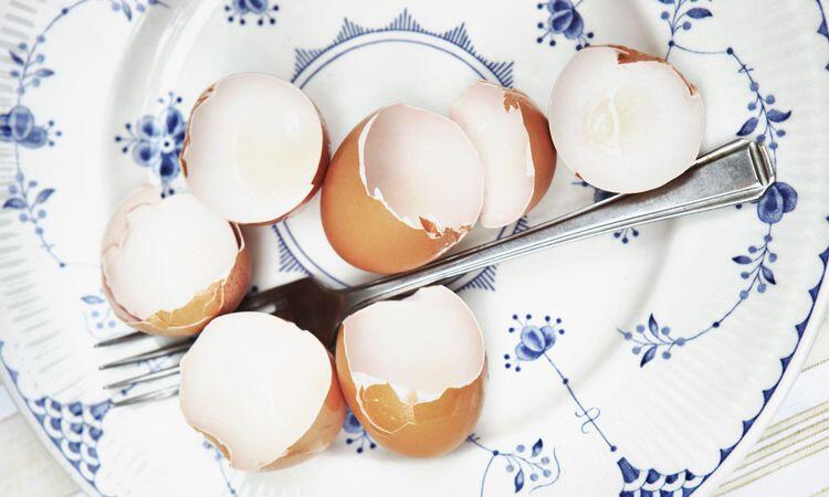 5 Genius Ways To Use Eggshells - NewsBreak