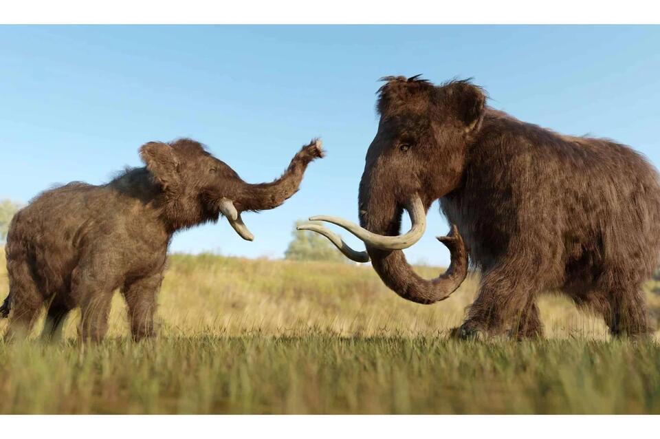 Animal Parents The Most Amazing Ways Animals Care for Their Young ...