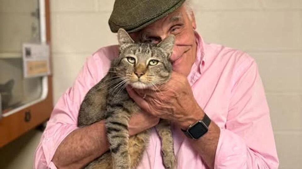 Family reunited with missing cat Spencer after two years thanks to ...