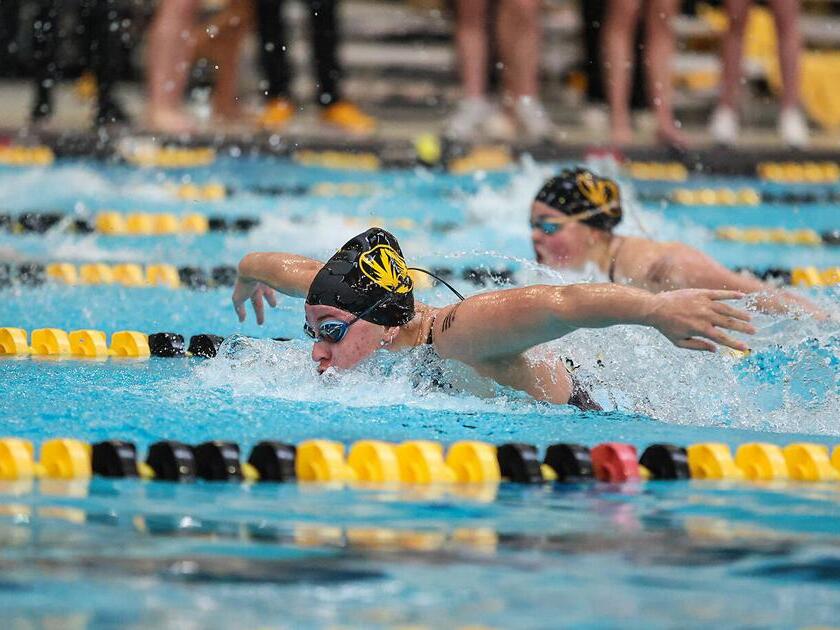 MU swim and dive shines on first day of Mizzou Invitational
