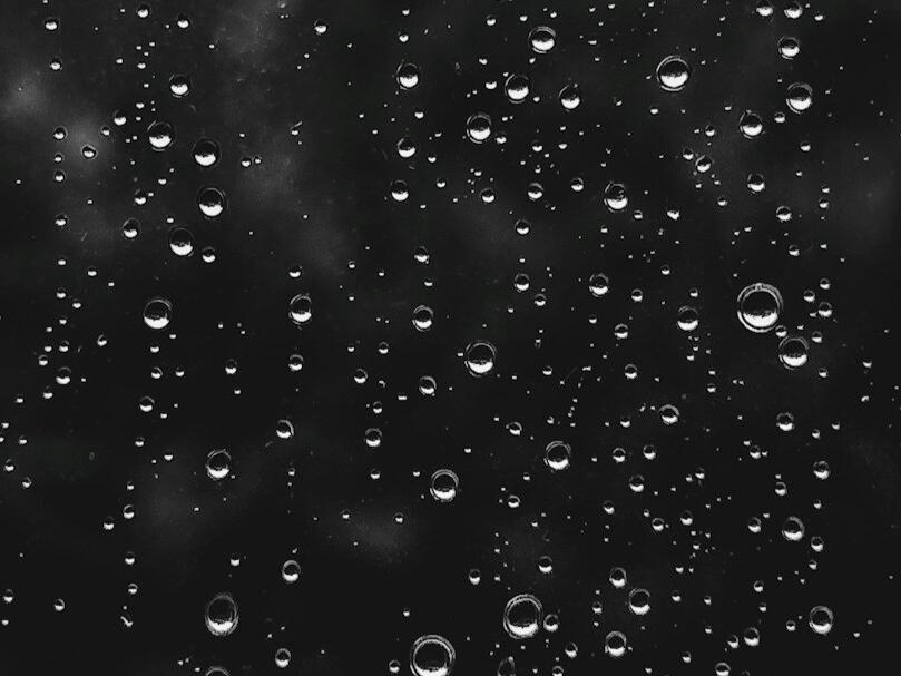 Cool, Wet Weather to Continue in Western Washington Before Brief Break ...