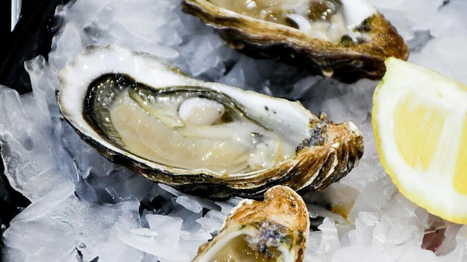 FDA issues paralytic shellfish poisoning covering oysters, clams in AZ ...