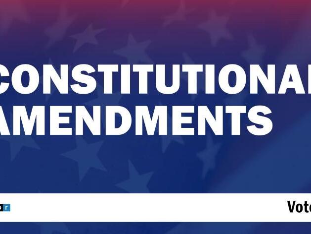 How Florida voted on the 2024 constitutional amendments