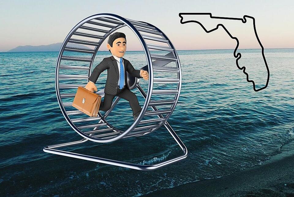 Florida Man Arrested After Trying To Cross Atlantic In Hamster Wheel ...