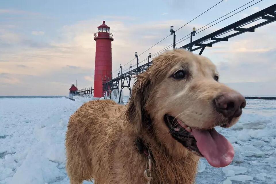Michigan Dog Owner Risks Life To Save Her Dog That Fell Through Lake ...