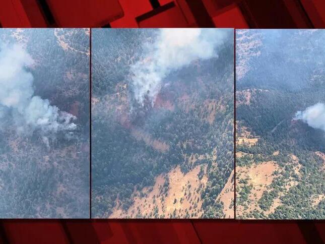 17-acre Cottonwood Fire on Ochoco National Forest sparked by lightning ...