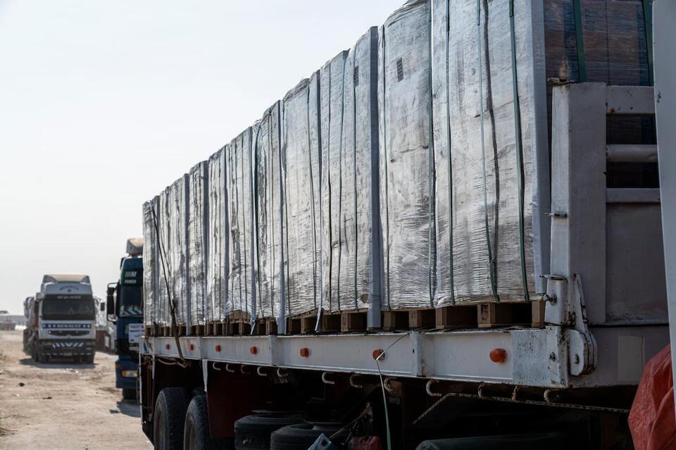 Escaped monkeys ‘destroyed’ by police who believed they were carrying ...