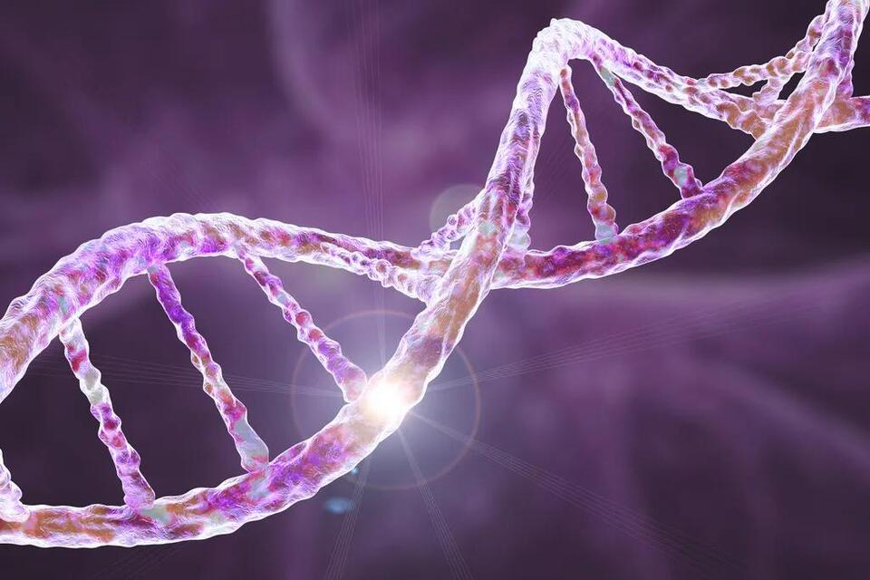 Scientists Weigh the Risks of ‘Mirror Life,’ Synthetic Molecules With a ...
