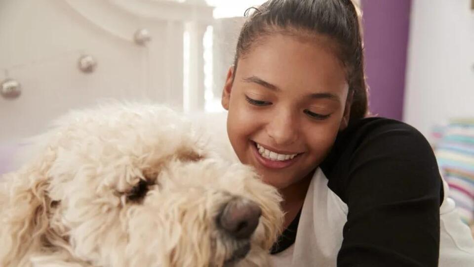 Therapy Dog ‘Pixie’ Starts New Role at West Virginia School - NewsBreak