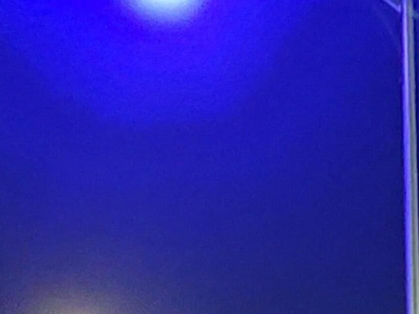 Defective lights paint the town purple