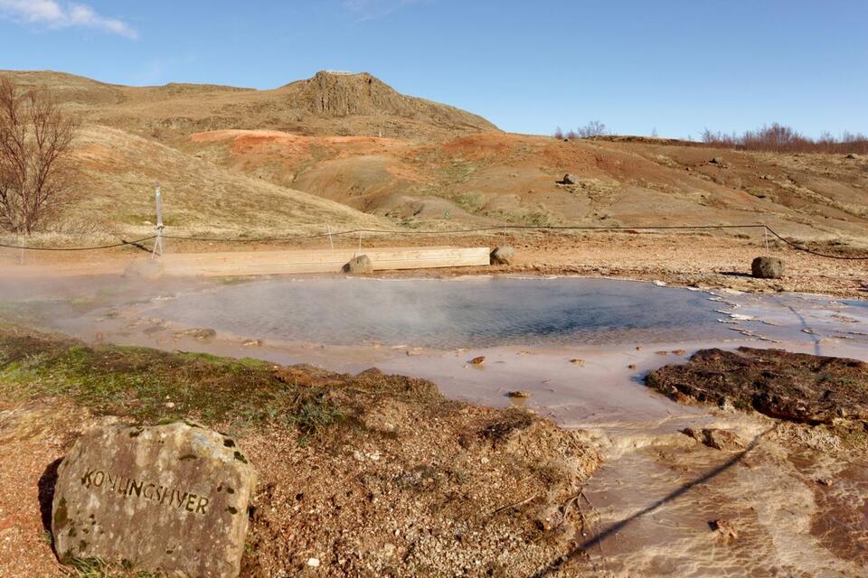 The Trees That Live in Boiling Water: Earth’s Toughest ...