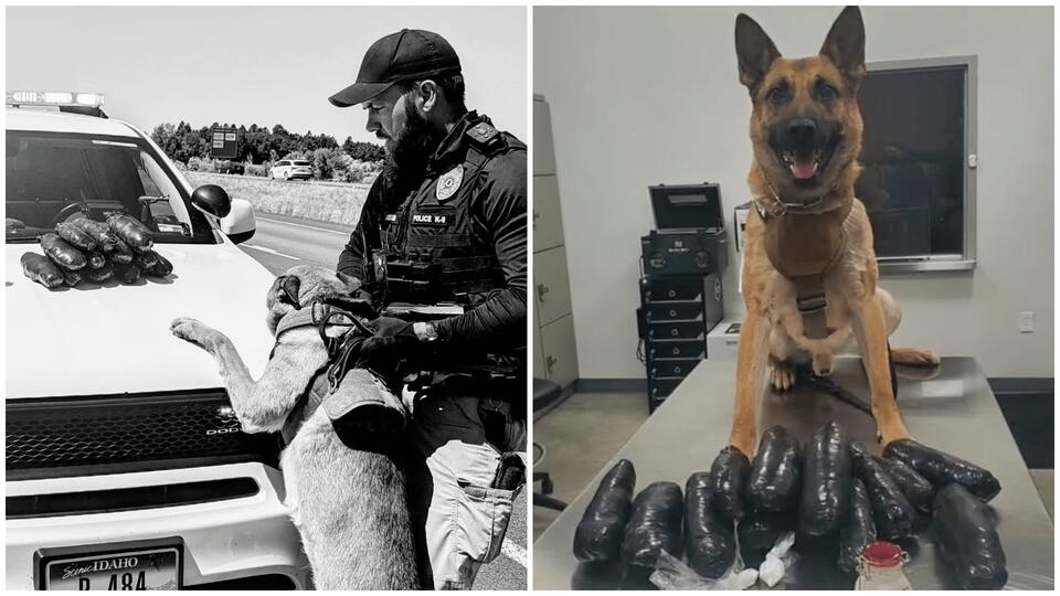 Traffic Stop in Idaho Falls Uncovers 25-Pound Meth Haul Bound for ...
