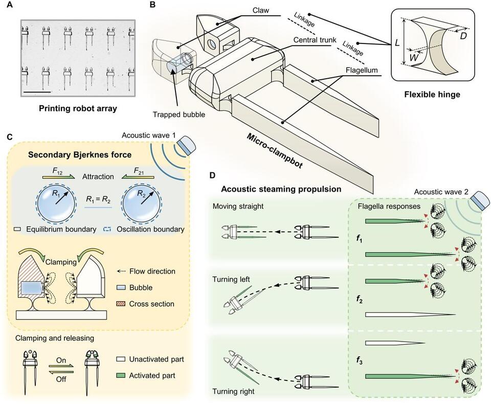 Acoustically powered micro-clampbot for single-particle transportation ...