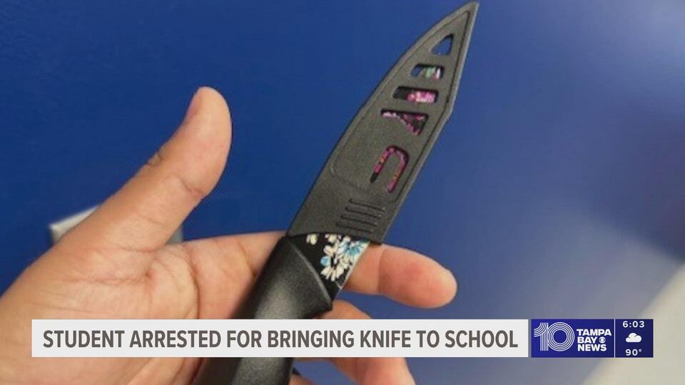16-year-old arrested after bringing knife to school in Hillsborough ...