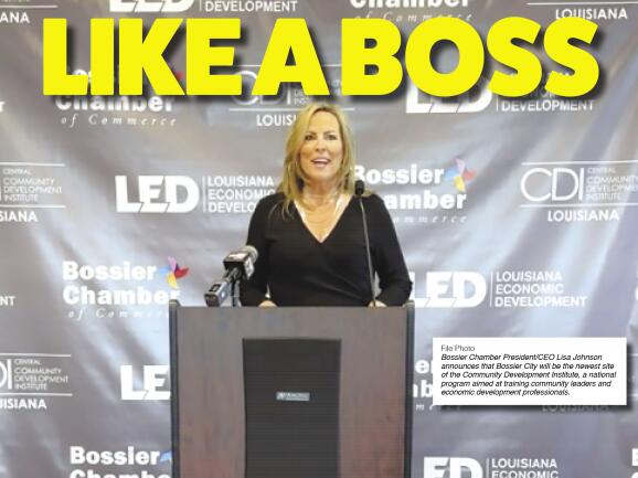 Lisa Johnson: Two Decades of Dedication and Transformation at the ...