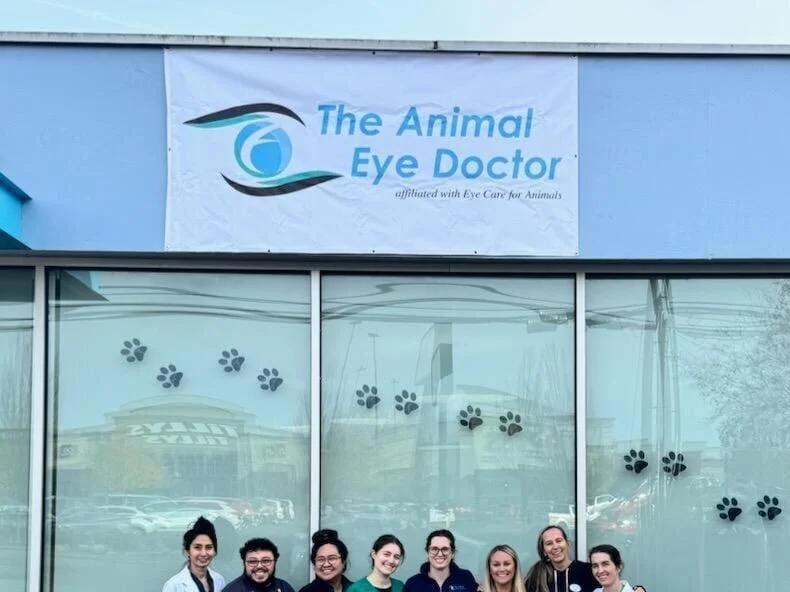 With an eye toward pet health, Beaverton's Animal Eye Doctor moves to ...