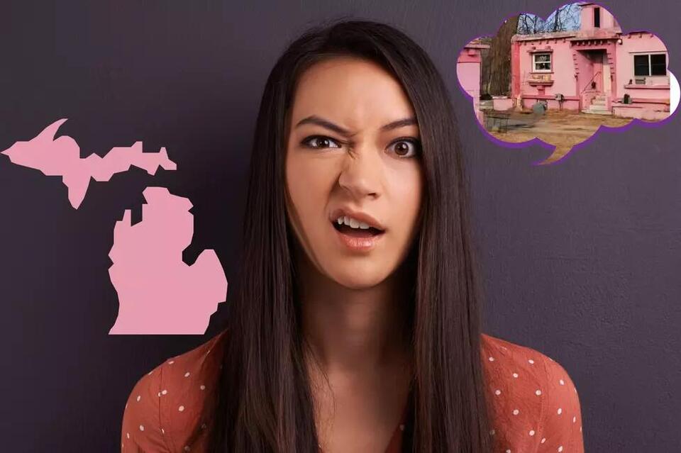 The Castle That Ray Built—The Story Behind Michigan’s Infamous Pink ...