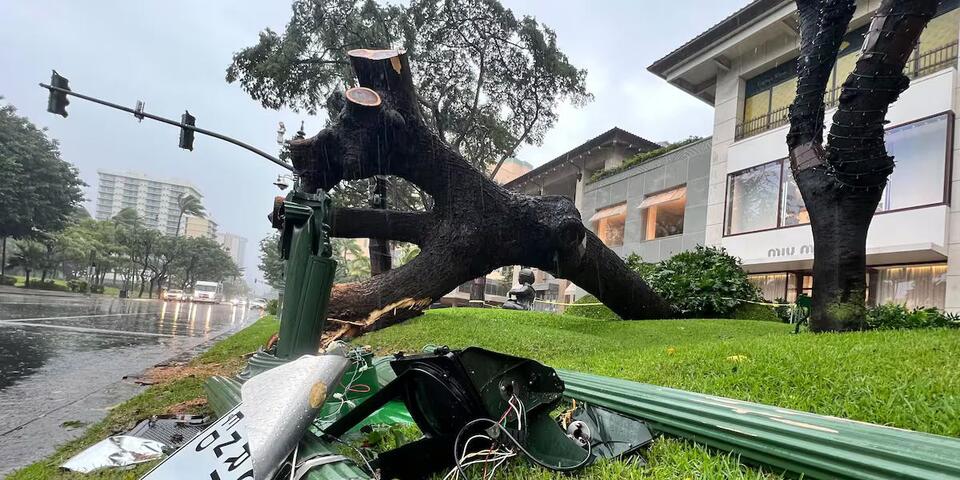 Storm damage hits Waikiki: Kalia Road underwater, massive tree falls ...