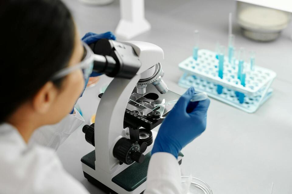 How Genetic Modification is Changing the Future of Conservation - NewsBreak