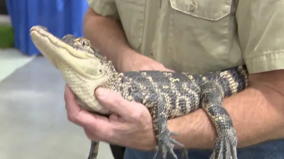 Pet Expo MKE: Hundreds of animals available for adoption - NewsBreak