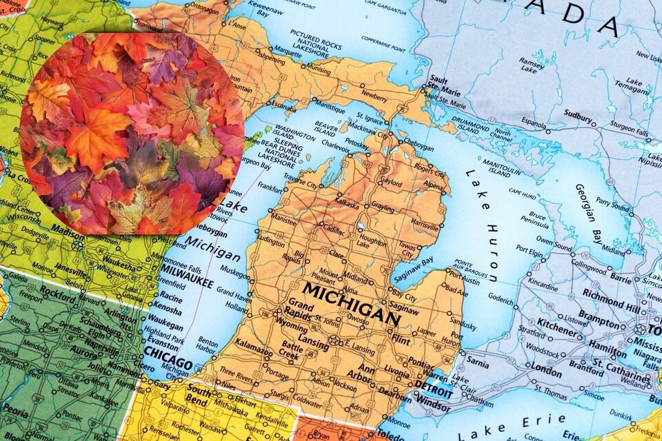 We May Not See Much of a Fall Foliage in Michigan This Year - NewsBreak