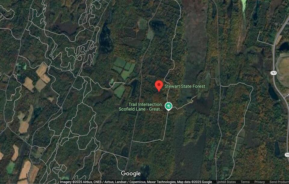 Turkey Hunter Shot In Face In Stewart State Forest In New Windsor ...