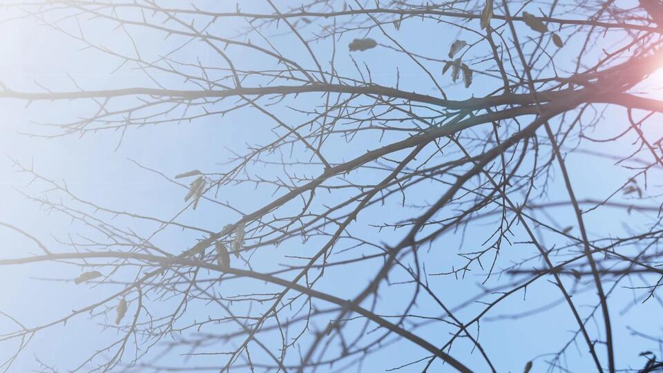 Body of missing Reno County man found - NewsBreak