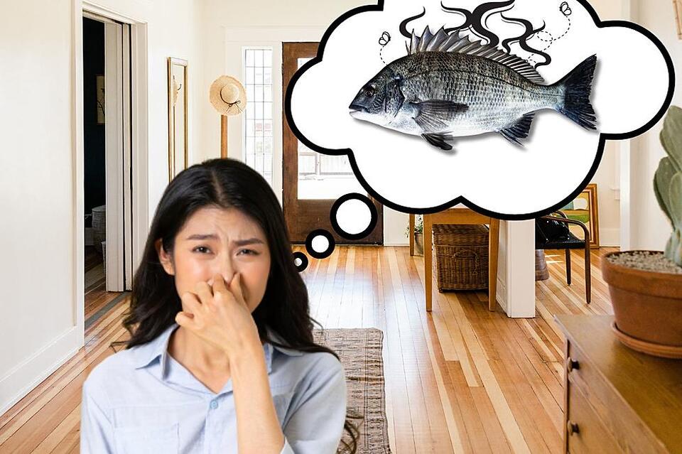 Smell Fish in Your House? You Could be in Danger of Losing Everything ...