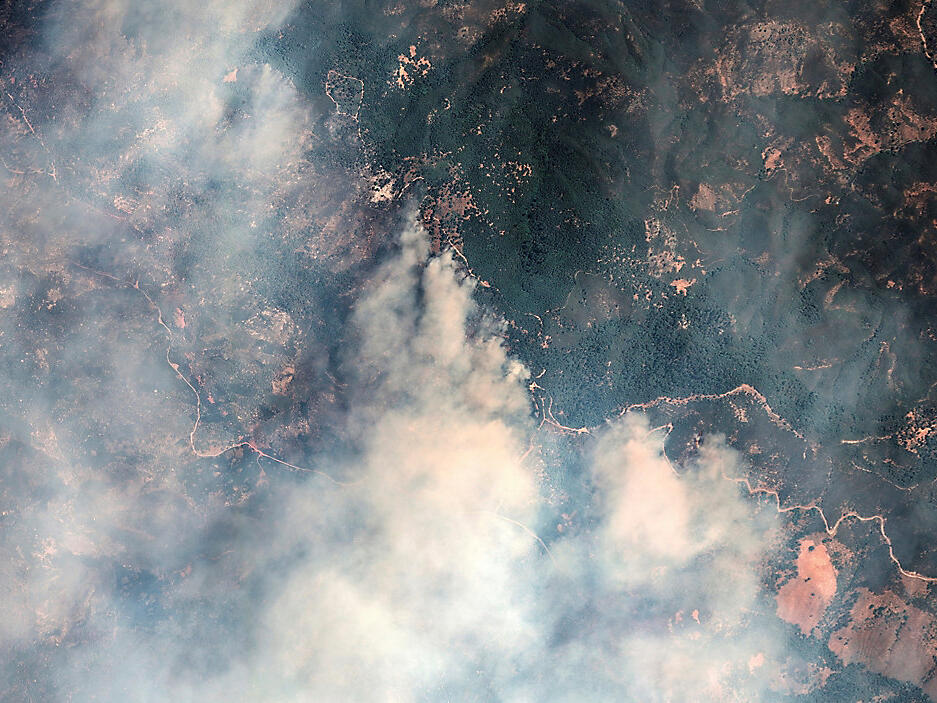 California fire officials report 1st wildfire death of the 2024 season