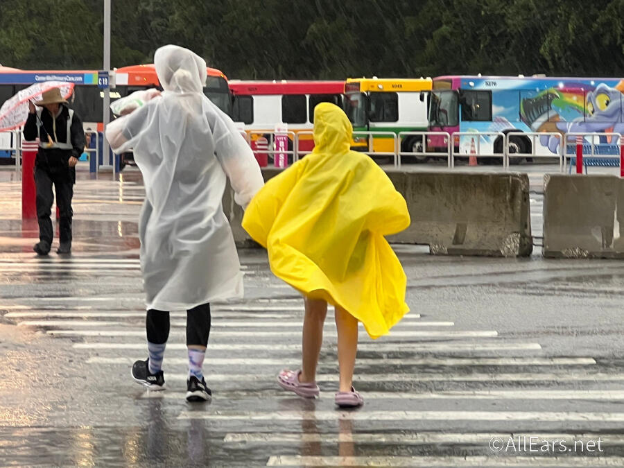 FULL LIST of 2025 Hurricane Names Released, and Disney Fans Spotted ...