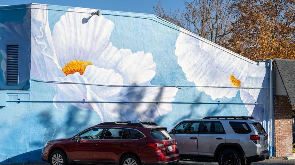 Beautiful New Mural Graces Downtown Lafayette, in Photos - NewsBreak