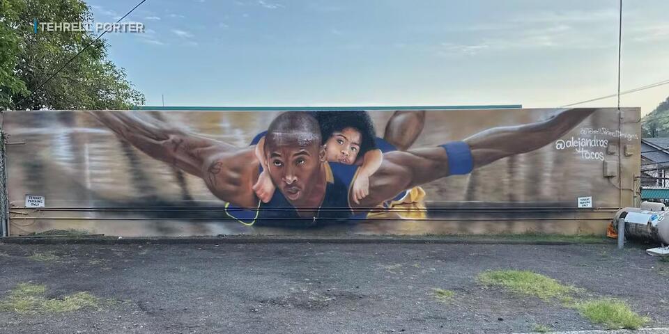 Honolulu street artist featured in new book honoring Kobe and Gianna ...