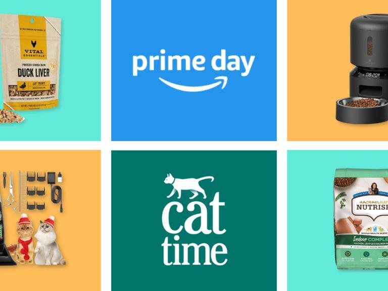 Amazon’s October Prime Big Deals Day 2024: Everything We Know