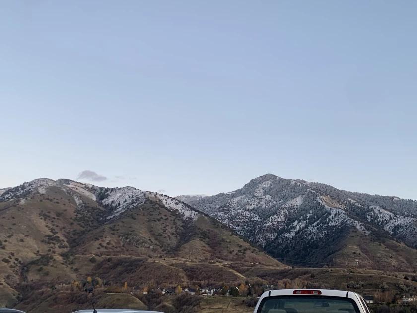 Local volunteers are helping to restore native plants in Logan Canyon ...