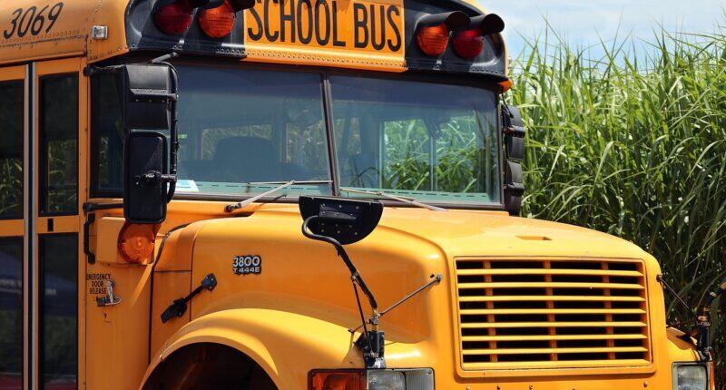 Delaware, Franklin County Districts Receive State School Bus Safety ...