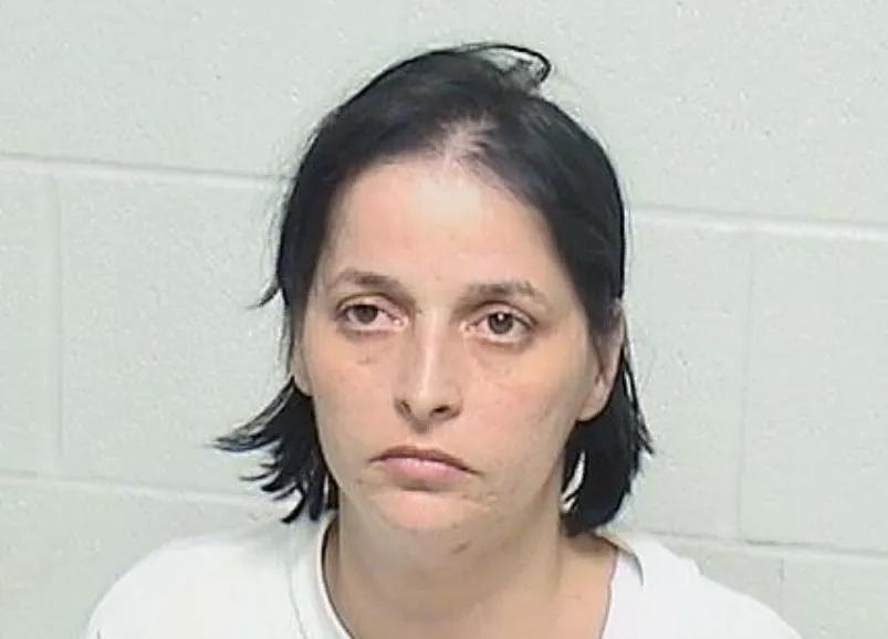 Fugitive wanted in series of locker thefts across the U.S. nabbed in ...