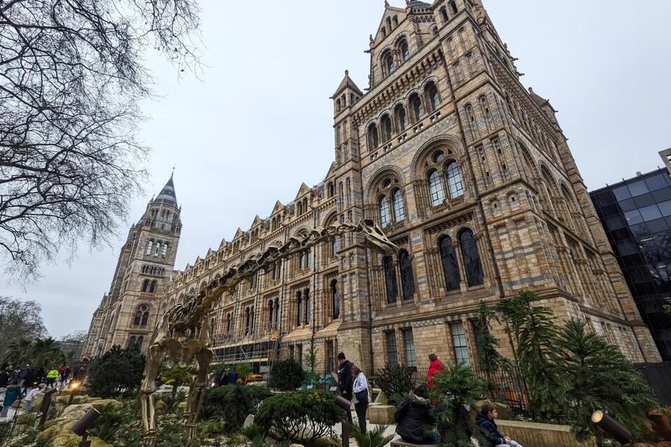 The free museum named the UK’s most-visited tourist attraction - NewsBreak