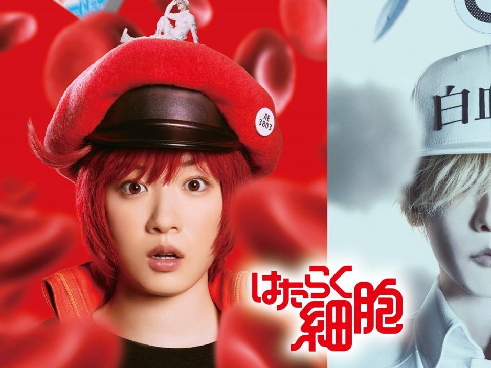 Cells at Work live action movie announced