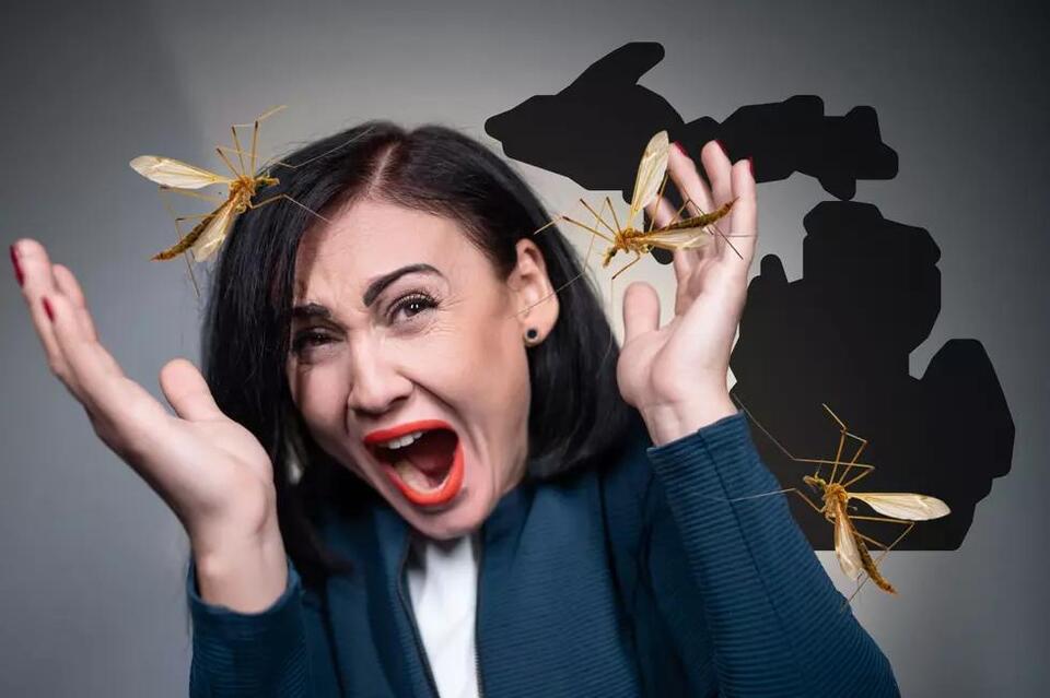 Michigan Will Soon Be Invaded By a Bug You Shouldn’t Kill - NewsBreak