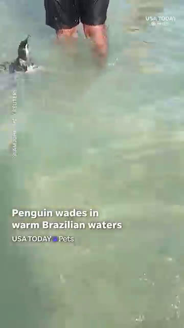 Bryan Kohberger pleads guilty to murders - NewsBreak