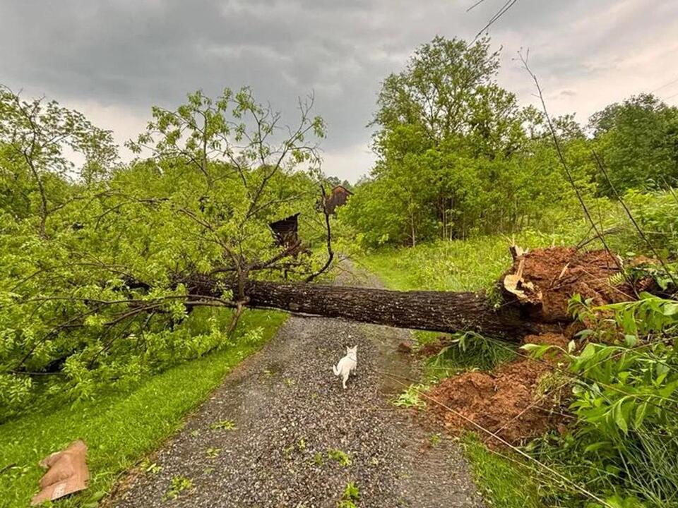 PHOTOS: Severe storms topple trees, produce hail during Memorial Day ...