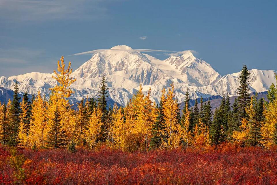 Alaska’s 8 national parks revealed: what makes each one extraordinary ...
