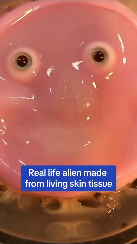 The terrifying humanoid robot is made from lab-grown human skin by ...