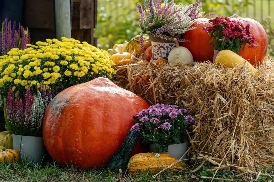 Your Weekend Guide For Fall Events Happening In WNY This Weekend ...
