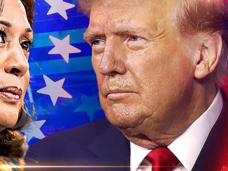 With so many political polls available, which ones are reliable? We ...